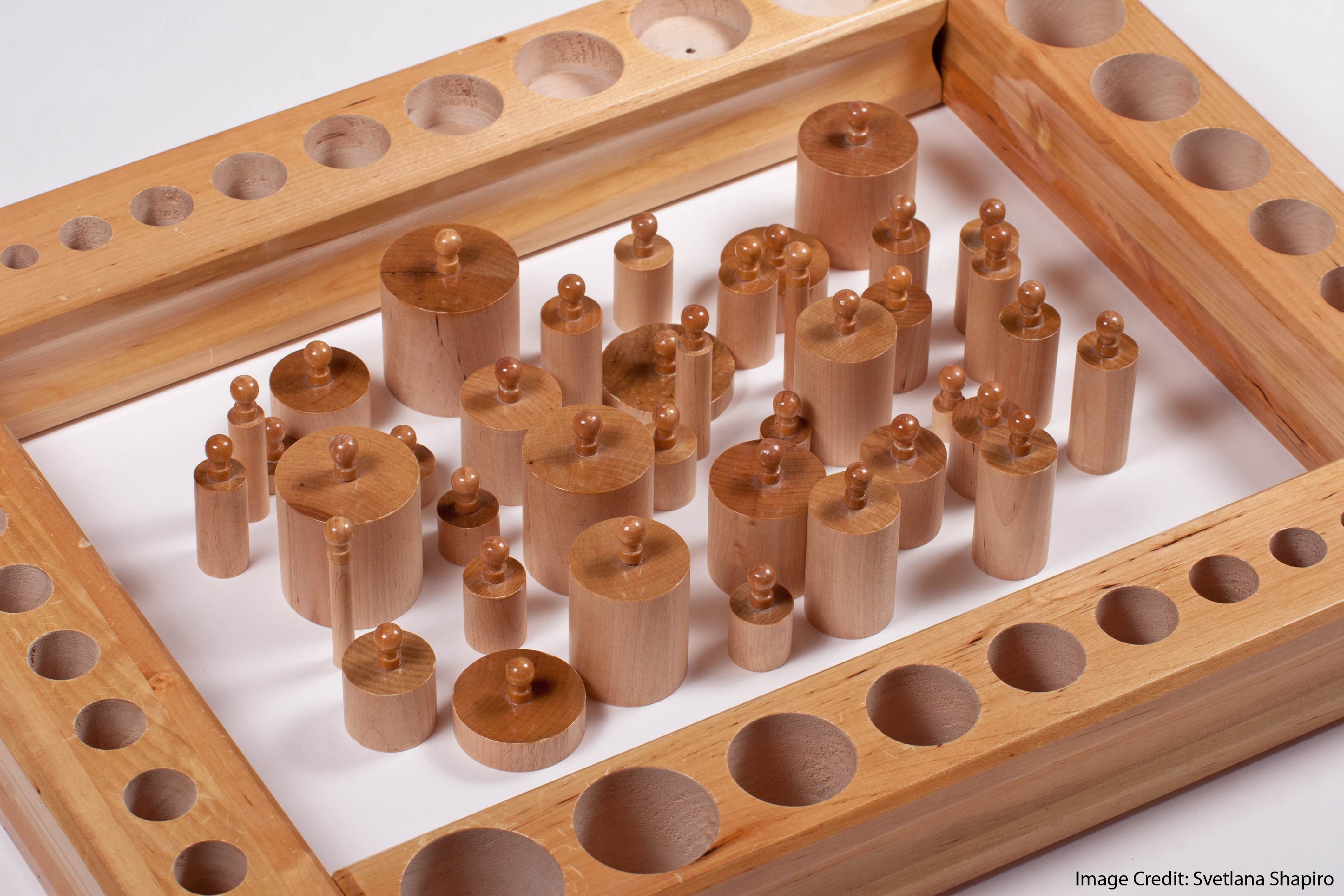Montessori The New Science Behind A Century Old Methodology part I Montessori The New Science Behind A Century Old Methodology part I