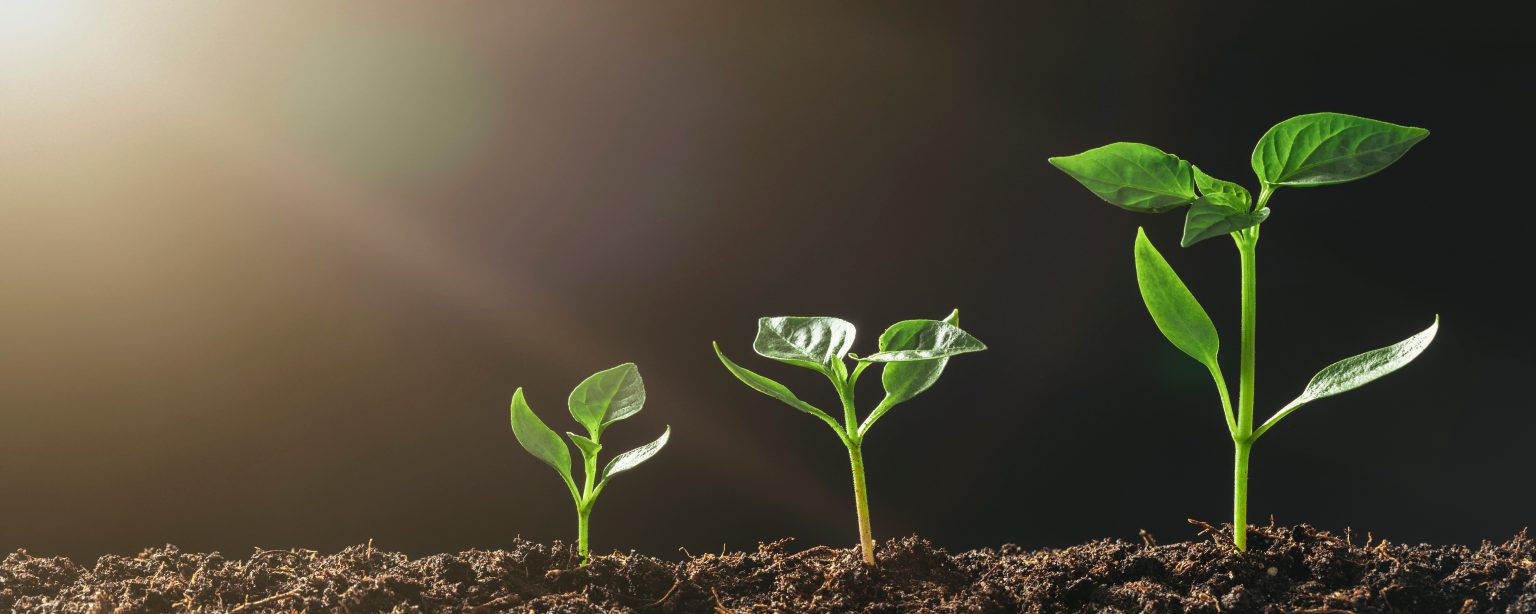 Does a “Growth Mindset” Matter? Evidence from Half a Million Students ...